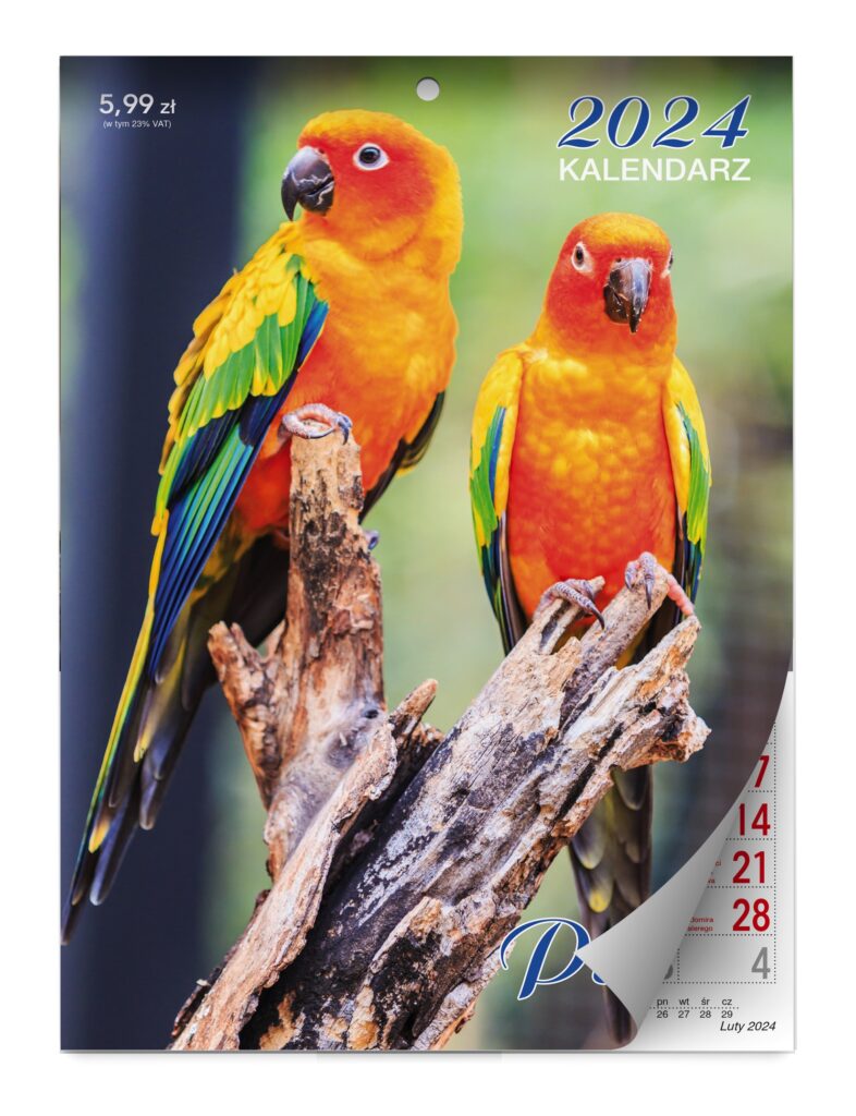 Kalendarz A4 2024 | KALPOL.BIS